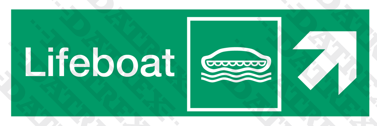 IMO LIFESAVING SIGNS Lifeboat arrow diagonal up right - 100mm x 300mm ...